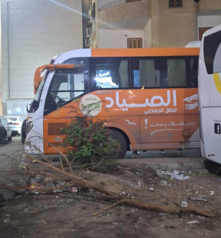 Luxor to Aswan by Public Transport: Complete Guide
